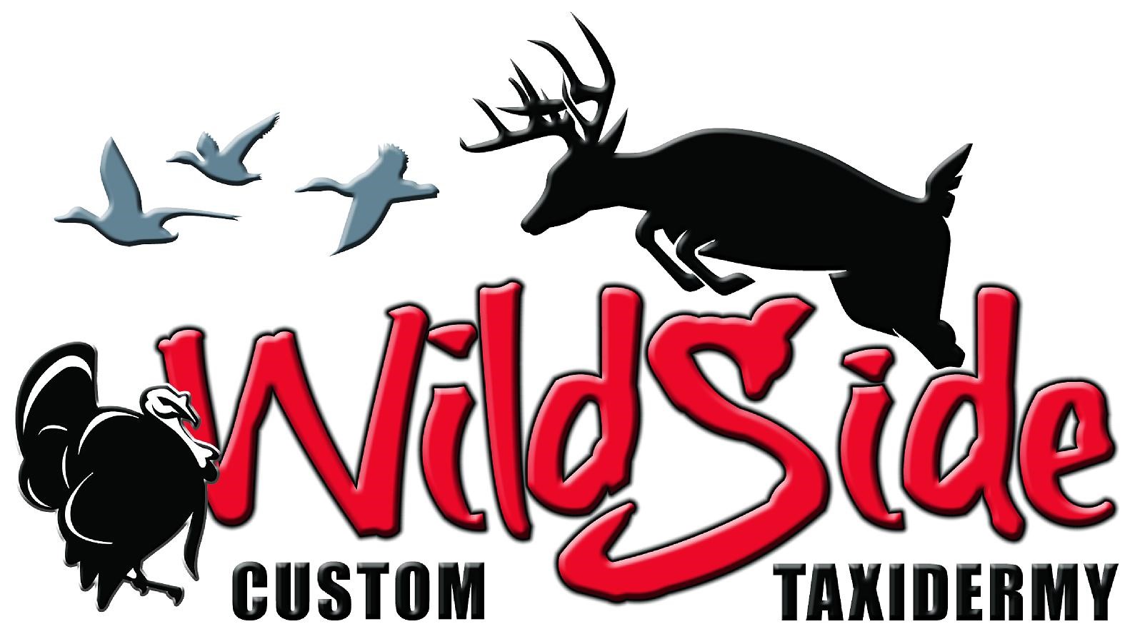Wildside Custom Taxidermy